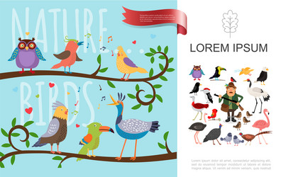 Flat beautiful birds template Royalty Free Vector Image