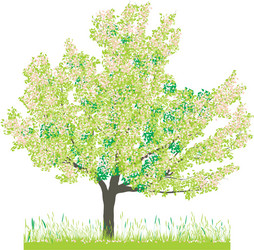 Spring Tree Vector Images (over 200,000)