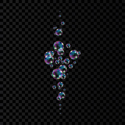 Colorful soap bubbles with rainbow reflection Vector Image