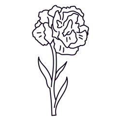 Carnation Doodle Vector Images (over 280)