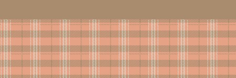 Gender neutral seamless plaid border Royalty Free Vector