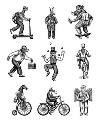 Fox on a bicycle cat juggler turtle scooter Vector Image