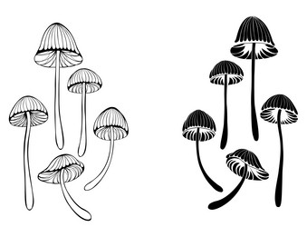 Mycelium Vector Images (over 1,100)