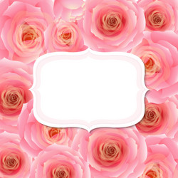Pink rose label Royalty Free Vector Image - VectorStock