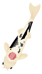 Carp fish icons top view Royalty Free Vector Image