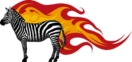Animal of zebra with flames Royalty Free Vector Image