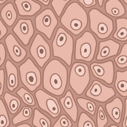 Human Skin Seamless Pattern Vector Images (over 760)