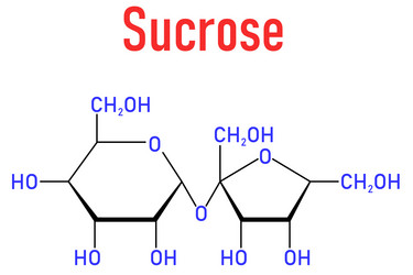 Sucrose Sugar Structure Vector Images (63)