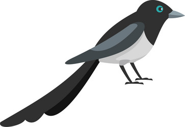 Magpie Vector Images (over 1,100)