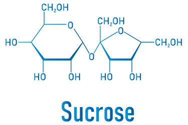 Sucrose Sugar Structure Vector Images (63)