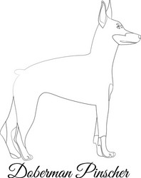 Doberman Outline Vector Images (over 530)