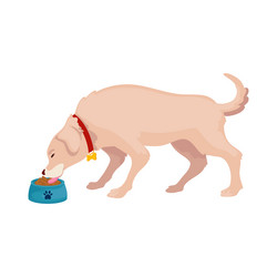 Dog Eating Vector Images (over 31,000)