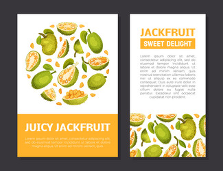 Jackfruit natural label design with green tropical