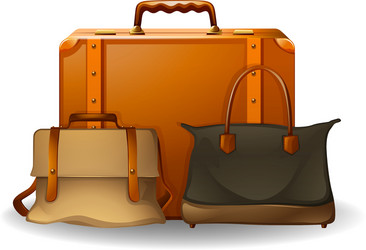 Bag Flashcard Vector Images (62)