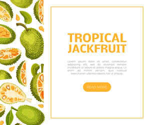 Jackfruit natural label design with green tropical