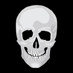 Scull Vector Images (over 3,500)