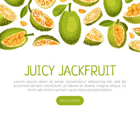 Jackfruit natural label design with green tropical