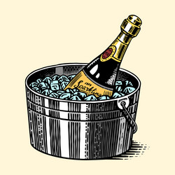 Champagne bottle in bucket Royalty Free Vector Image
