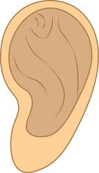 Concha Vector Images (over 100)