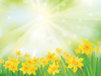 Spring time Royalty Free Vector Image - VectorStock
