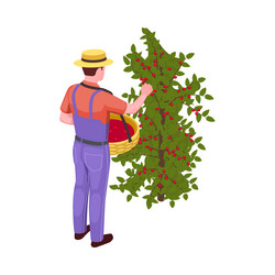 Hand Picking Fruit Vector Images (over 400)