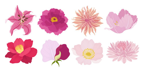 Yellow Pea Vector Images (over 850)