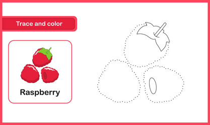 Drawing and vocabulary worksheet trace colour Vector Image