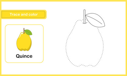 Drawing and vocabulary worksheet trace colour Vector Image