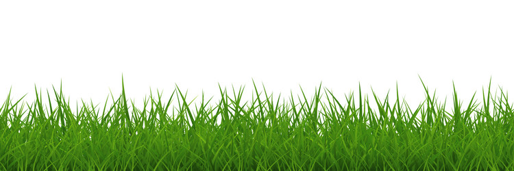 Green grass repeat texture Royalty Free Vector Image