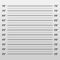 Police lineup mugshot background Royalty Free Vector Image