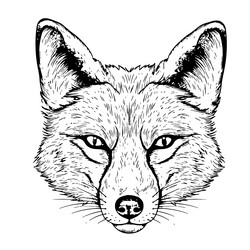 Beautiful fox head sketch hand drawn Royalty Free Vector
