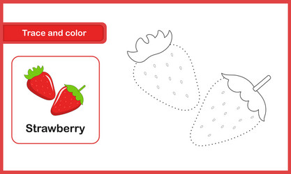Drawing and vocabulary worksheet trace colour Vector Image