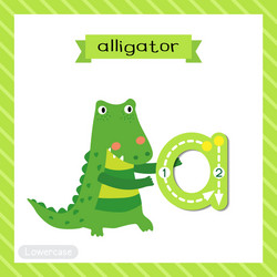 Alligator Flashcard Vector Images (over 110)