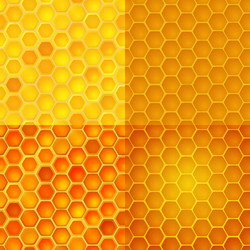 Honeycomb pattern Royalty Free Vector Image - VectorStock