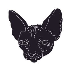 Cat Face Side View Vector Images (over 160)