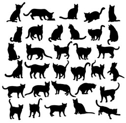Cat Vector Images (over 340,000)