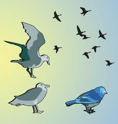 Birds Eye Vector Images (over 20,000)