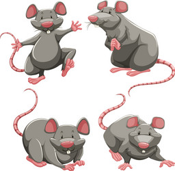 A gray rat Royalty Free Vector Image - VectorStock