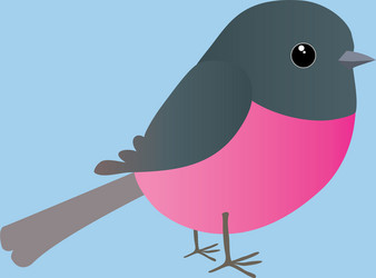 Pink Robin Vector Images (81)