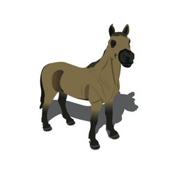 Stallion horse cartoon animal Royalty Free Vector Image