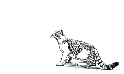 Cat Side View Vector Images (over 750)