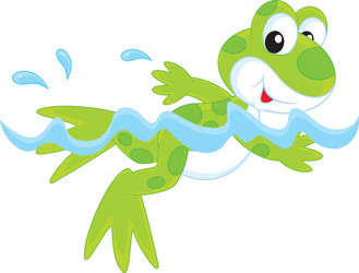 Frog Swim Vector Images (over 330)