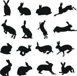 Rabbit Vector Images (over 180,000)