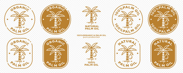 Palm Kernel Vector Images (over 110)