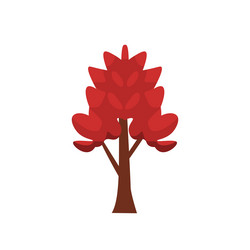 Tree with red leaves forest plants Royalty Free Vector Image