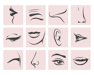Parts of Head Vector Images (over 14,000)