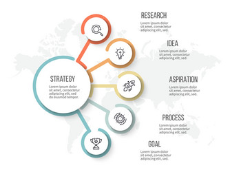 Organization structure infographic Royalty Free Vector Image
