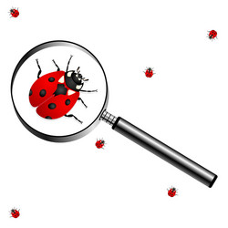 Ladybug Magnifying Glass Vector Images (90)
