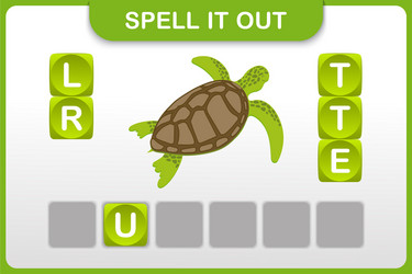 Turtle Flashcard Vector Images (91)