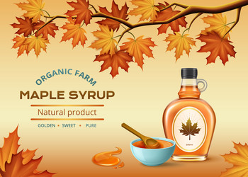 Retro maple syrup bottle Royalty Free Vector Image